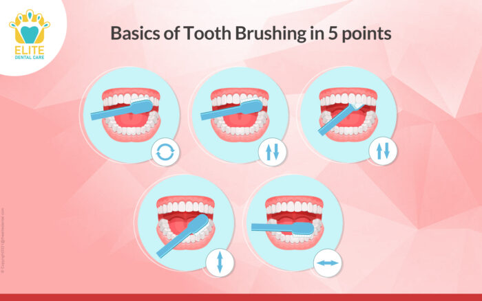 Basics of Tooth Brushing in 5 points - Elite Dental Care